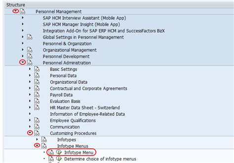 Sap Hr What Is An Infotype Menu Define Infotype Menus