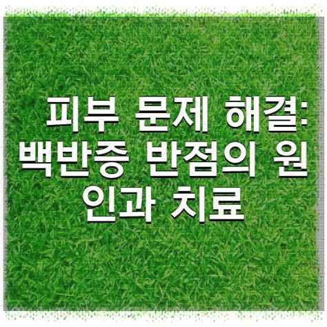 피부 문제 해결 백반증 반점의 원인과 치료