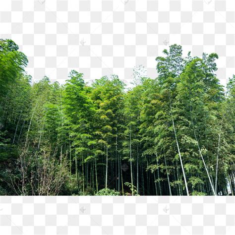 钟南山图片图片 钟南山图片图片素材免费下载 千库网