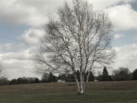 Break Forth Barren Magazine