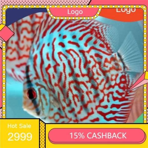 Jual Discus Mozaik Mulai Ukuran 1 Inch 1 5 Cm Kota Depok Fishtreasure Id Tokopedia