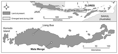 Misteri Kaum Hobbit Di Liang Bua Flores