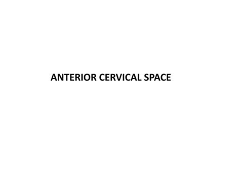Anatomy Of Deep Neck Spaces Radiology Pictorial Representation Ppt