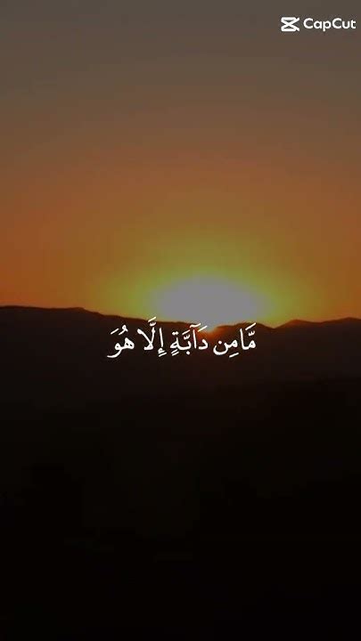 Nature Qurankareem Quran قرآن Beautiful اكسبلور Qurankarim