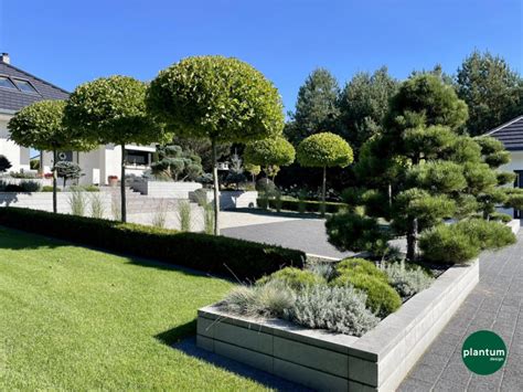 Nowoczesny ogród otoczony lasem Ogrody w różnych stylach Sztuka Krajobrazu