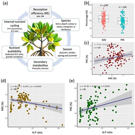 Nitrogen And Phosphorus Resorption And Conservation In Mangrove Plants