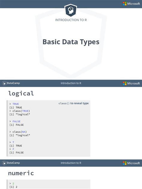 Introduction To R Basic Data Types Pdf