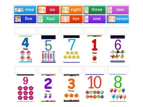 match each number with the appropriate picture match up