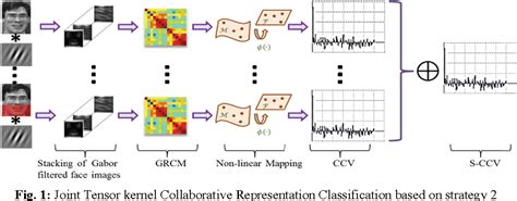 Figure 1 From Joint Kernel Collaborative Representation On Tensor