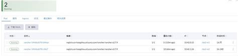 Rke2集群上helm 部署rancher部署成功但是pod，有时候会重启，附有pod日志，其中rancher Webhook是什么有什么