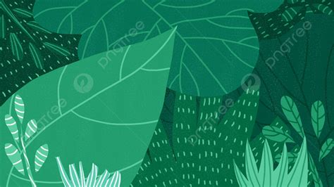 Tree Plant Leaves Leaf Spring Woody Plant Background Image For Free Download