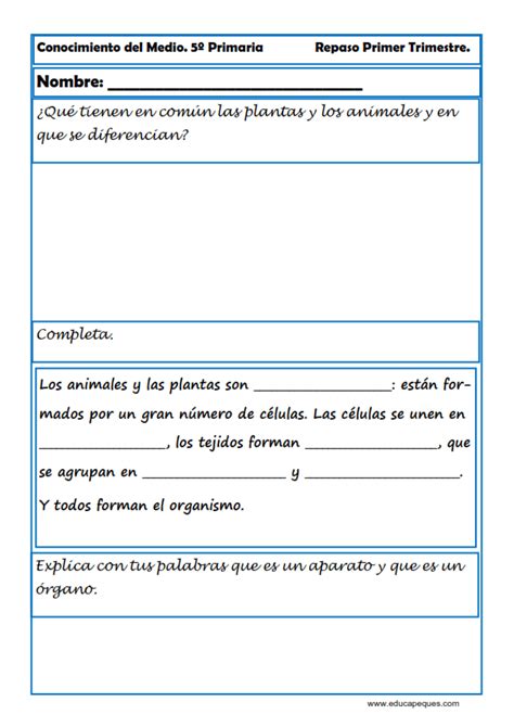 Fichas De Conocimiento Del Medio Para Quinto De Primaria