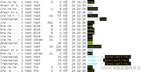 Linux系统文件系统结构和目录管理，及其关键命令如何使用linux改变文件结构变成目录 Csdn博客
