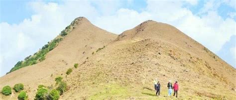 【大轿顶】3月19周六出发 提前报名抢早鸟优惠！周日徒步广东千米山峰系列，登海拔1335米壮美大轿顶，赏高山草甸活动在线登山