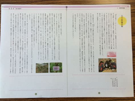 江名中学校にて桜プロジェクトの授業をさせて頂きました ふくしま浜街道桜プロジェクト