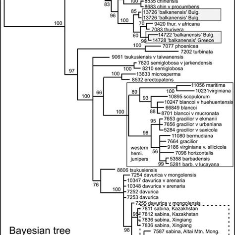 bayesian analysis based on four cp regions adapted from adams et al