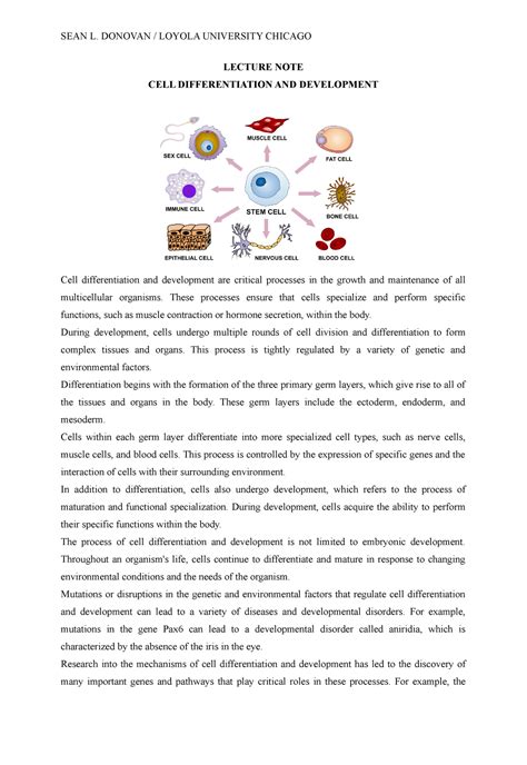 Lecture Note Cell Differentiation And Development Sean L Donovan Loyola University Chicago