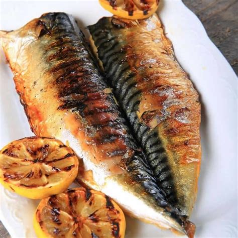 Grilled Mackerel Feast And Beyond
