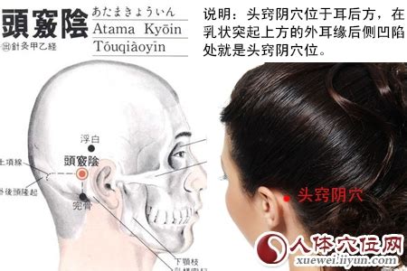 头窍阴穴位位置图 功用 主治病症 标准定位 取法 刺灸法
