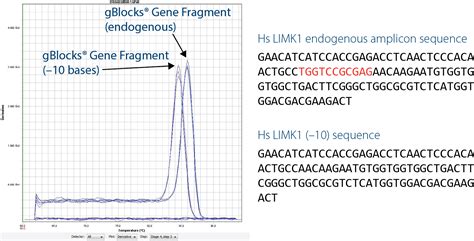 Standard Curve Qpcr Excel At Sally Esterly Blog