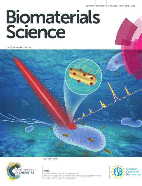 Pdf Raman Encoded Multivalent Glycan Nanoconjugates For Traceable Specific Binding And