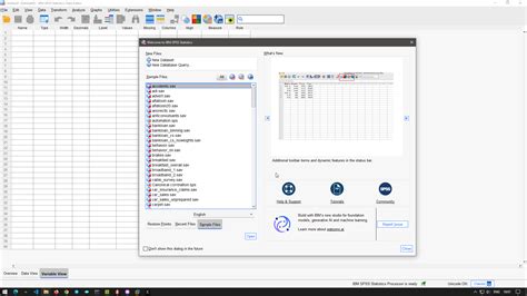 Ibm Spss Statistics 30 Crack کرک شده دانلود برنامه های تخصصی کرک شده