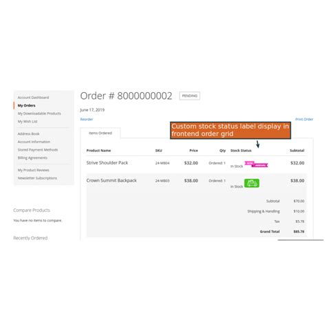 Magento Custom Stock Status Display Stock Quantity And Availability Options