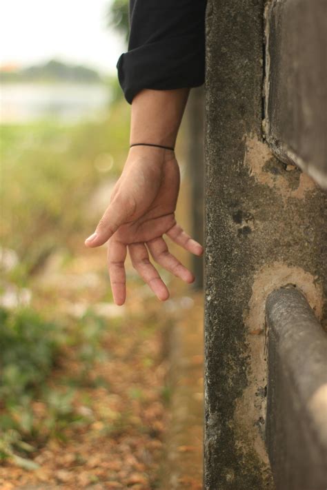 Honeycombing In Concrete Photos Download The Best Free Honeycombing In