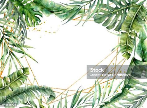 손바닥 잎 수채화 다각형 골드 프레임 손으로 그린 꽃 라벨 흰색 배경에 고립 식물 그림입니다 디자인에 대 한 인사말 템플릿입니다 0명에 대한 스톡 벡터 아트 및 기타 이미지