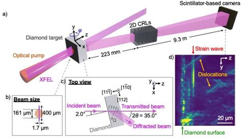Figure 1 From Dark Field X Ray Microscopy For 2D And 3D Imaging Of