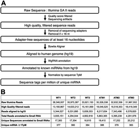 A Small RNA Sequencing Pipeline Overview B Summary Statistics Of Download Scientific Diagram