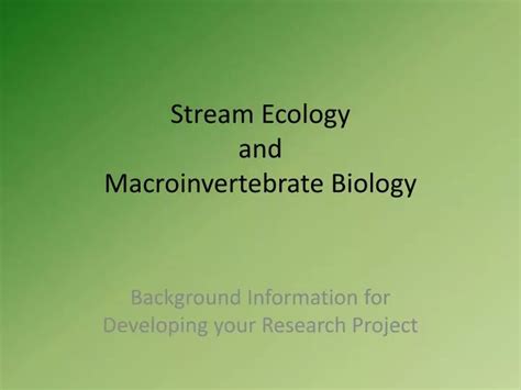 Ppt Stream Ecology And Macroinvertebrate Biology Powerpoint