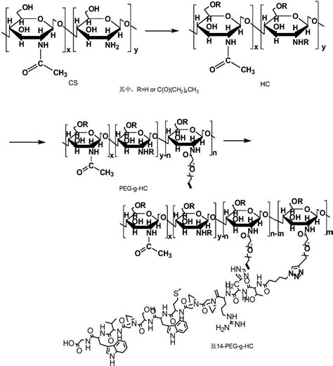 Charge Conversion Type Nanometer Drug Carrier And Preparation Method Thereof Eureka Patsnap
