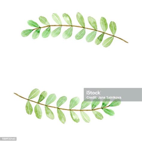 흰색 배경에 고립 된 수채화 손으로 그린 식물 꽃 브런치 화환 그림 0명에 대한 스톡 벡터 아트 및 기타 이미지 0명 결혼식 꽃 식물 Istock