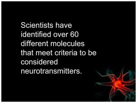 Neurotransmitters2 PPT