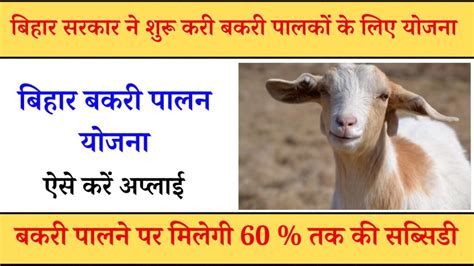 Bihar Bakri Palan Yojana बकरी फार्म खोलने के लिए बिहार सरकार दे रही