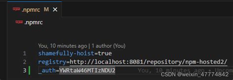 Vue Pnpm项目迁移至内网环境 超详细单独迁移 Npm包 Csdn博客