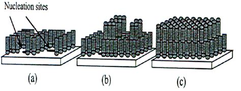 Adsorption Schemes For Organic Additives As Inhibitors At Download Scientific Diagram