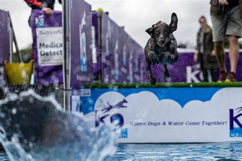 078a0434 Steve Akehurst Flickr