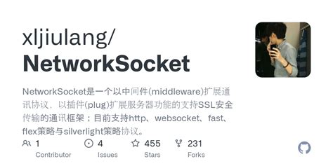 github xljiulang networksocket networksocket是一个以中间件 middleware 扩展通讯