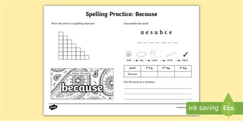 Because Spelling Practice Worksheet Teacher Made Twinkl