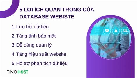 B T M C Ch L Y Database C A Website Tr N Hosting Cpanel