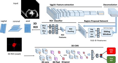 The Network Architecture Of Faster R Cnn For Roi Localization