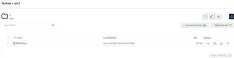 搭建对象存储minio并设置永久访问链接（单机版）minio Share 连接127001 Csdn博客