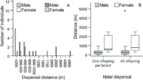 Frequency Distribution A And Box Plots B Of Natal Dispersal