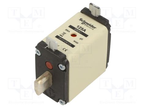 DF2FGN125 SCHNEIDER ELECTRIC - Fuse: fuse | 125A; 690VAC; gG; ceramic ...