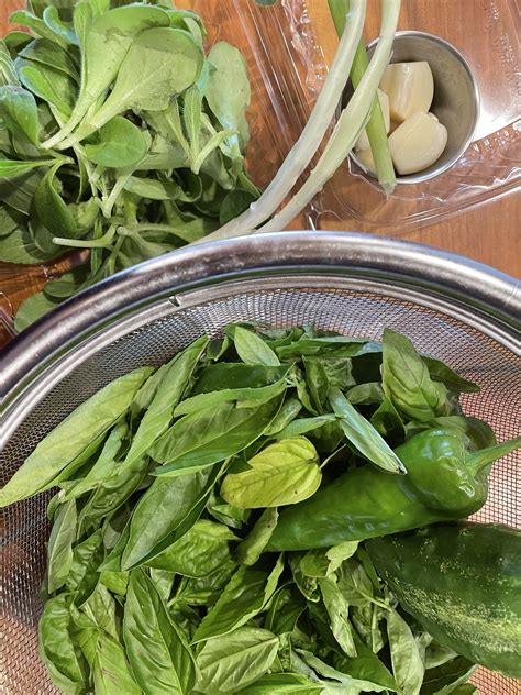 Pesto Recipe — Culver Pediatrics Center