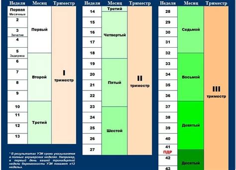 Триместры беременности по неделям таблица