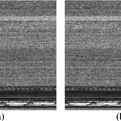 Gray Scale Image Representation Of A Malware Sample Containing A Logo