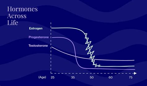 Menopause 101 What You Need To Know Elektra Health